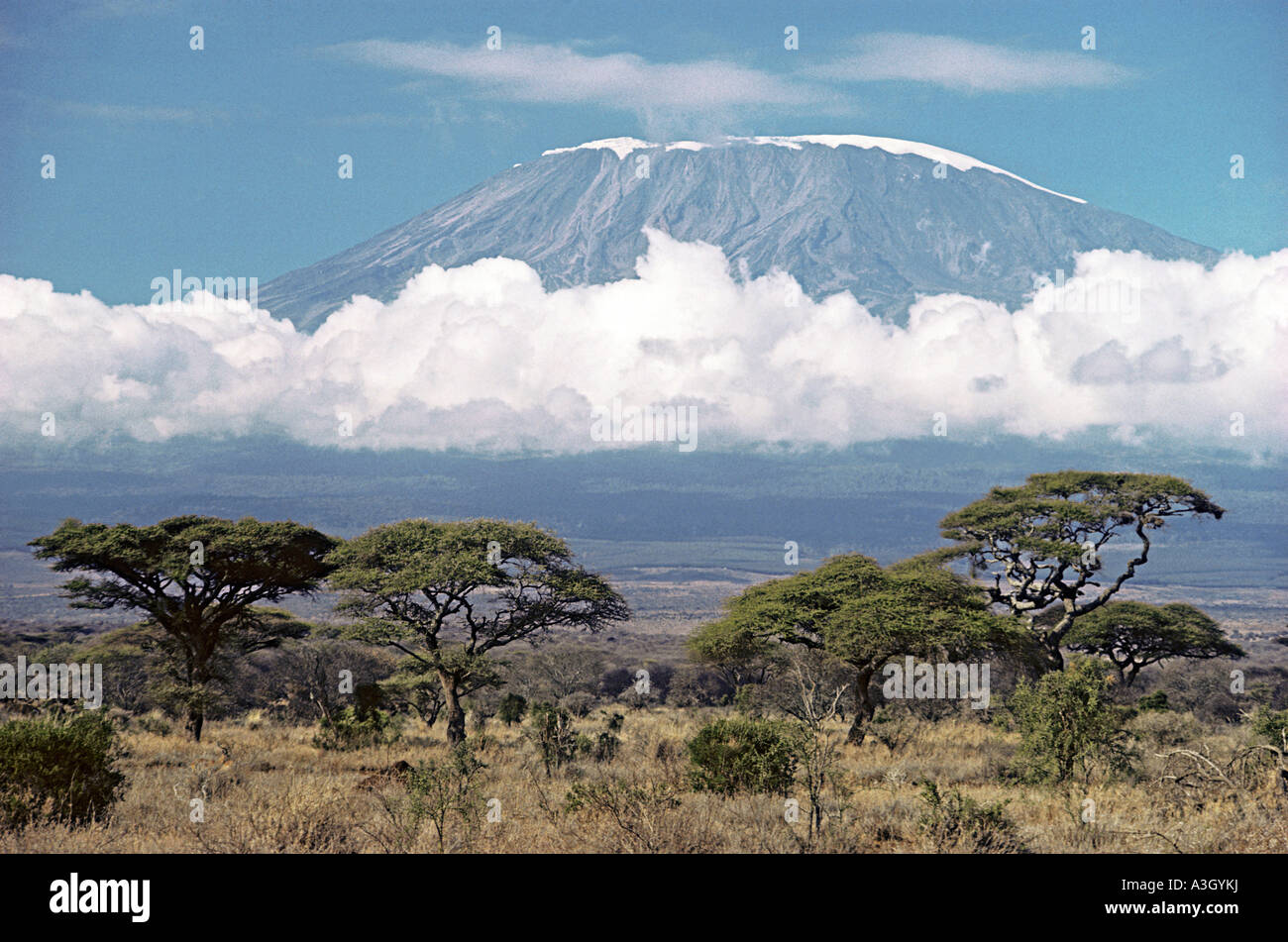 Mt. Kilimanjaro East African Savanna Tanzania Stock Photo - Alamy