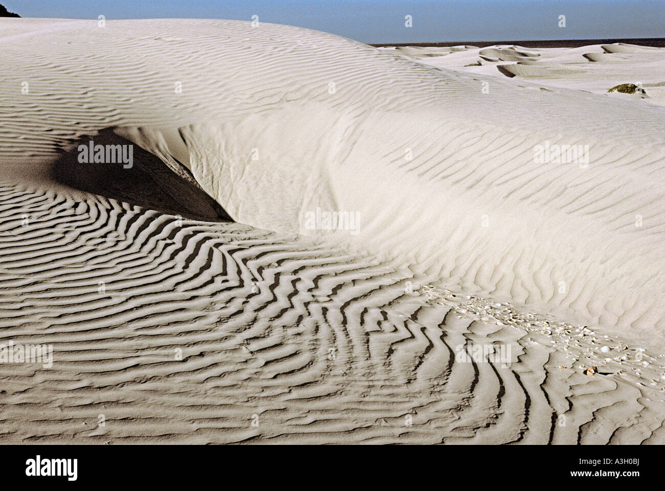 Barchan Dune Baja California Mexico Stock Photo - Alamy