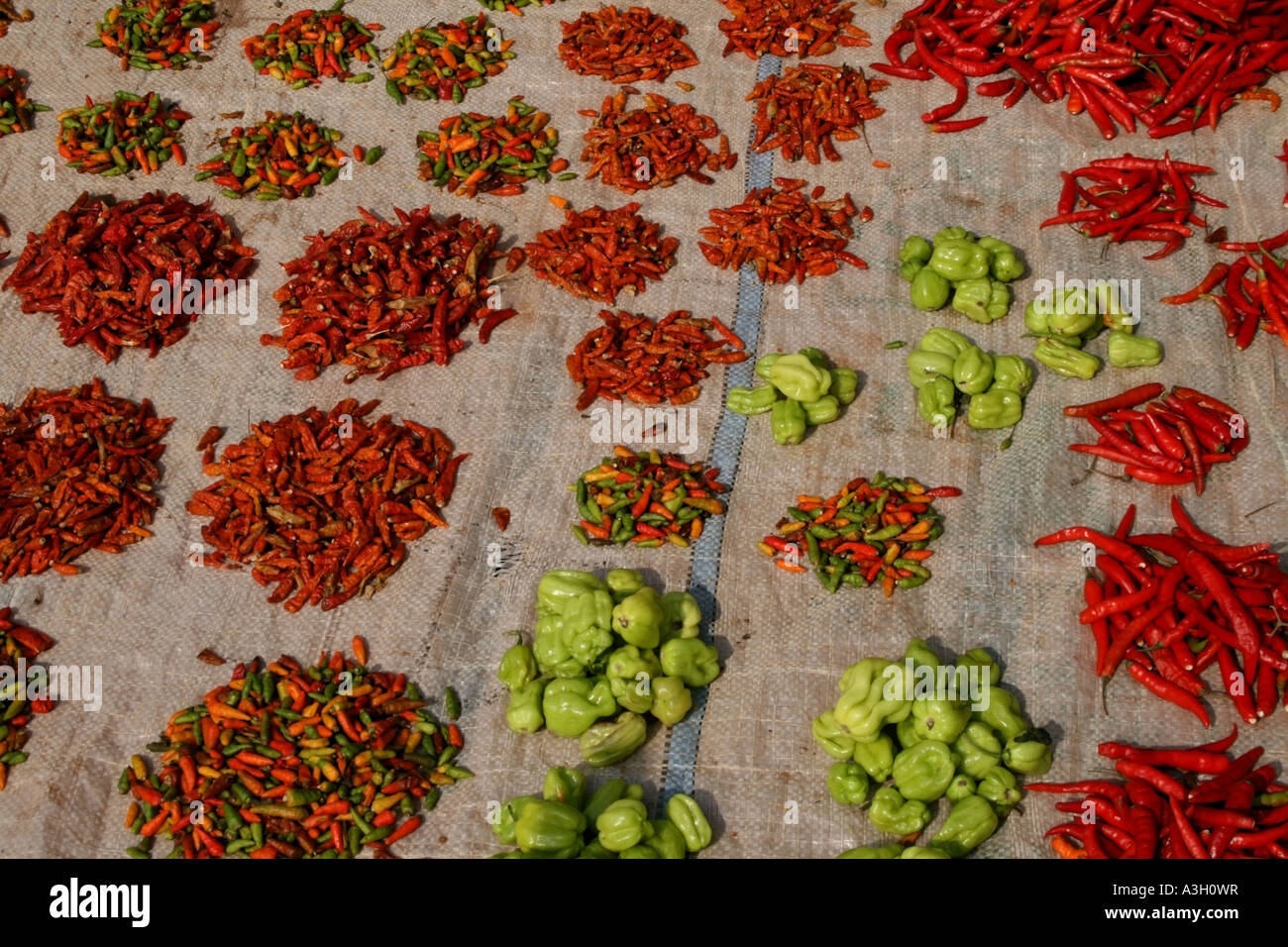 Chillies on display hi-res stock photography and images - Alamy