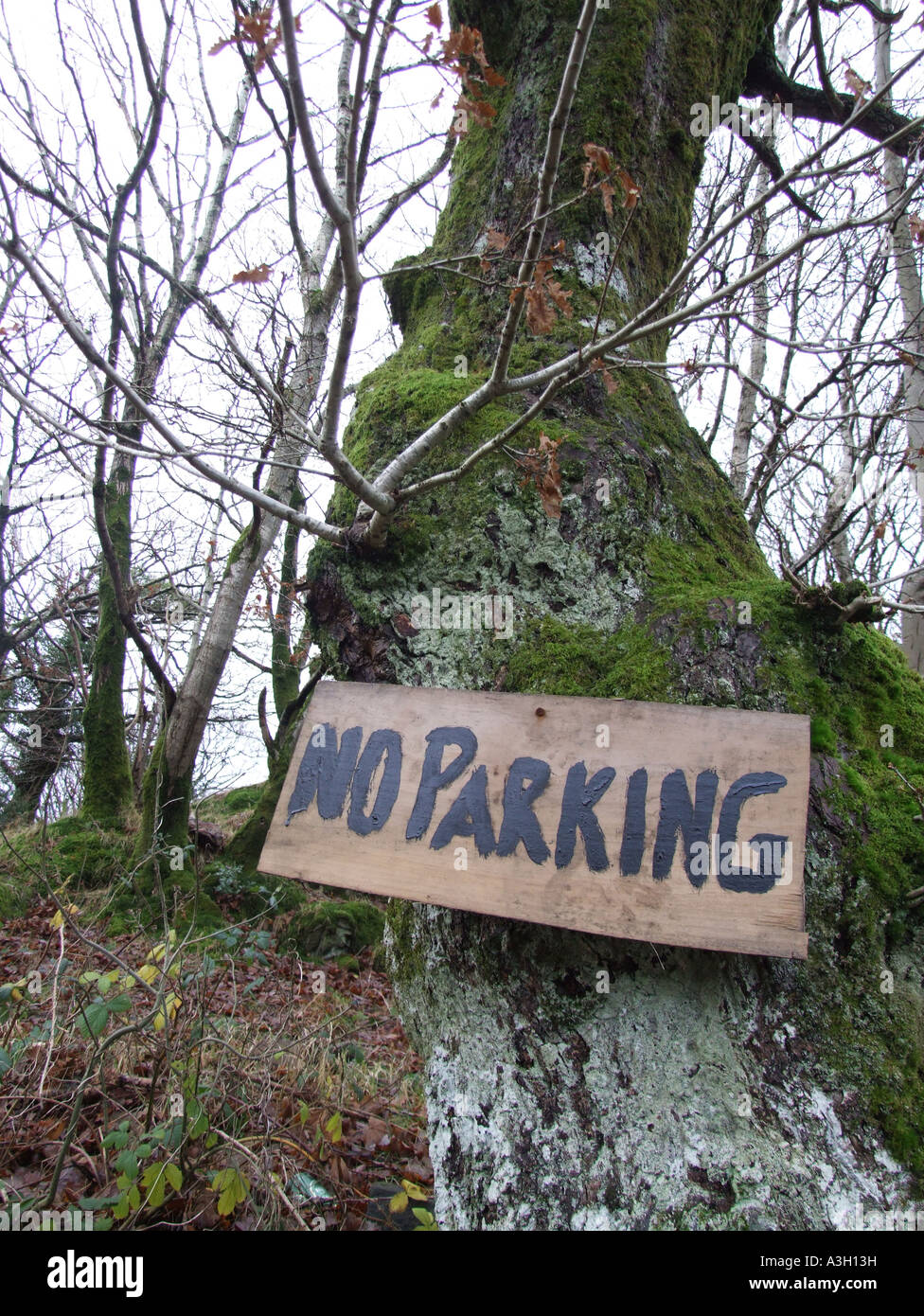 no parking sign on tree in countryside Stock Photo - Alamy