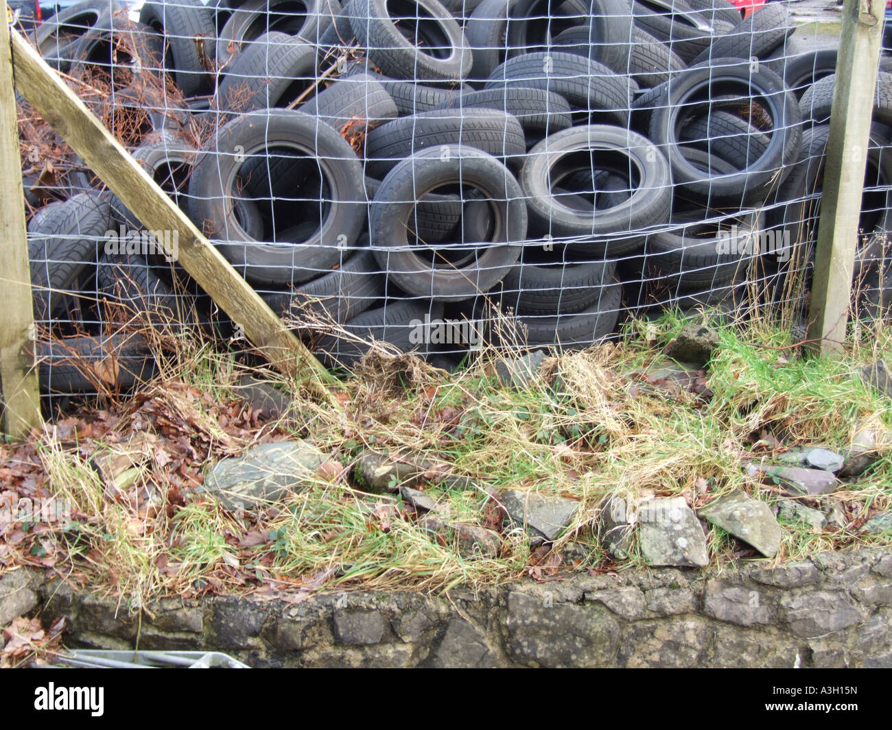 old tyres in field Stock Photo - Alamy