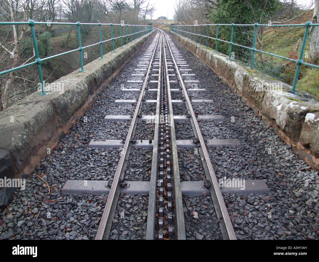 pinion rail track with sleepers in countryside Stock Photo - Alamy