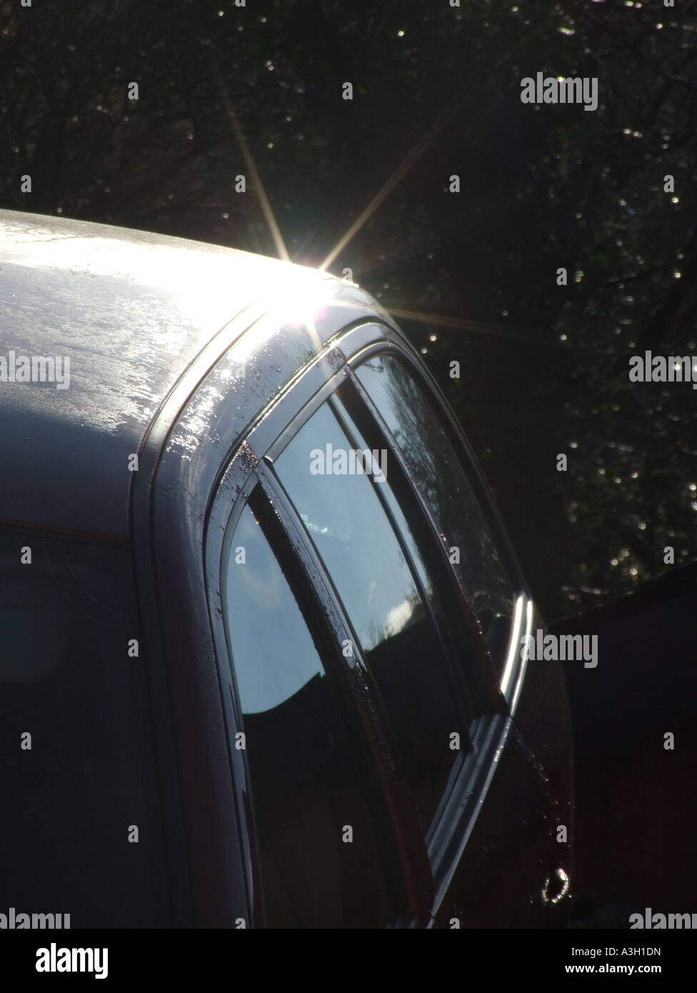 car backlit in morning sun Stock Photo - Alamy