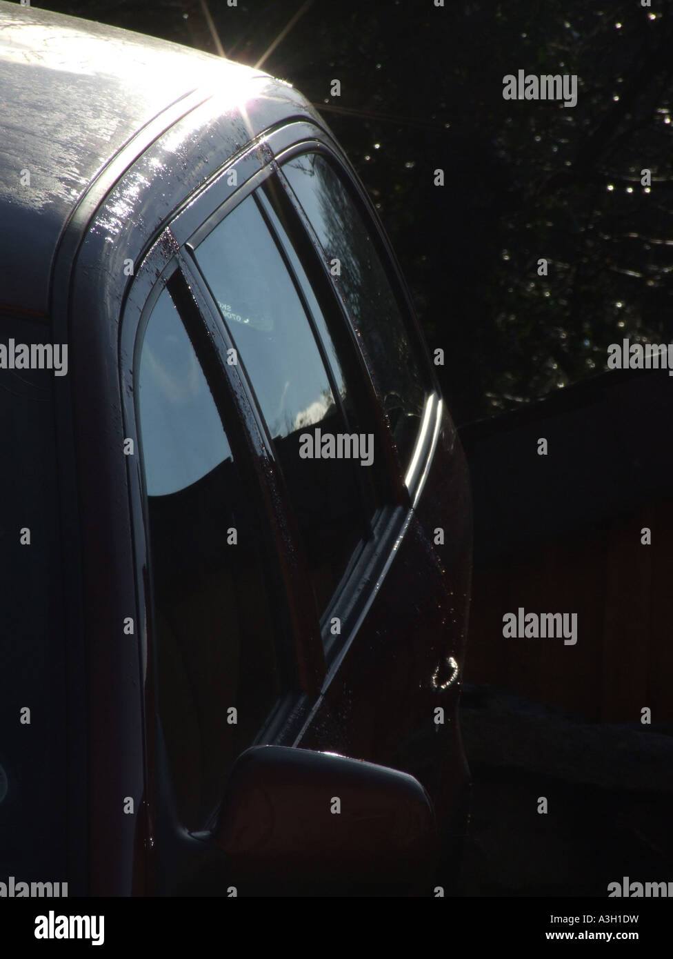 car backlit in morning sun Stock Photo - Alamy