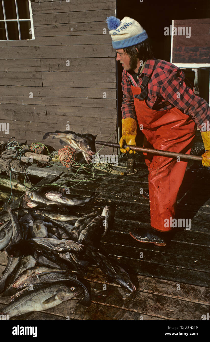 Red Bay Canada Labrador High Resolution Stock Photography and Images ...