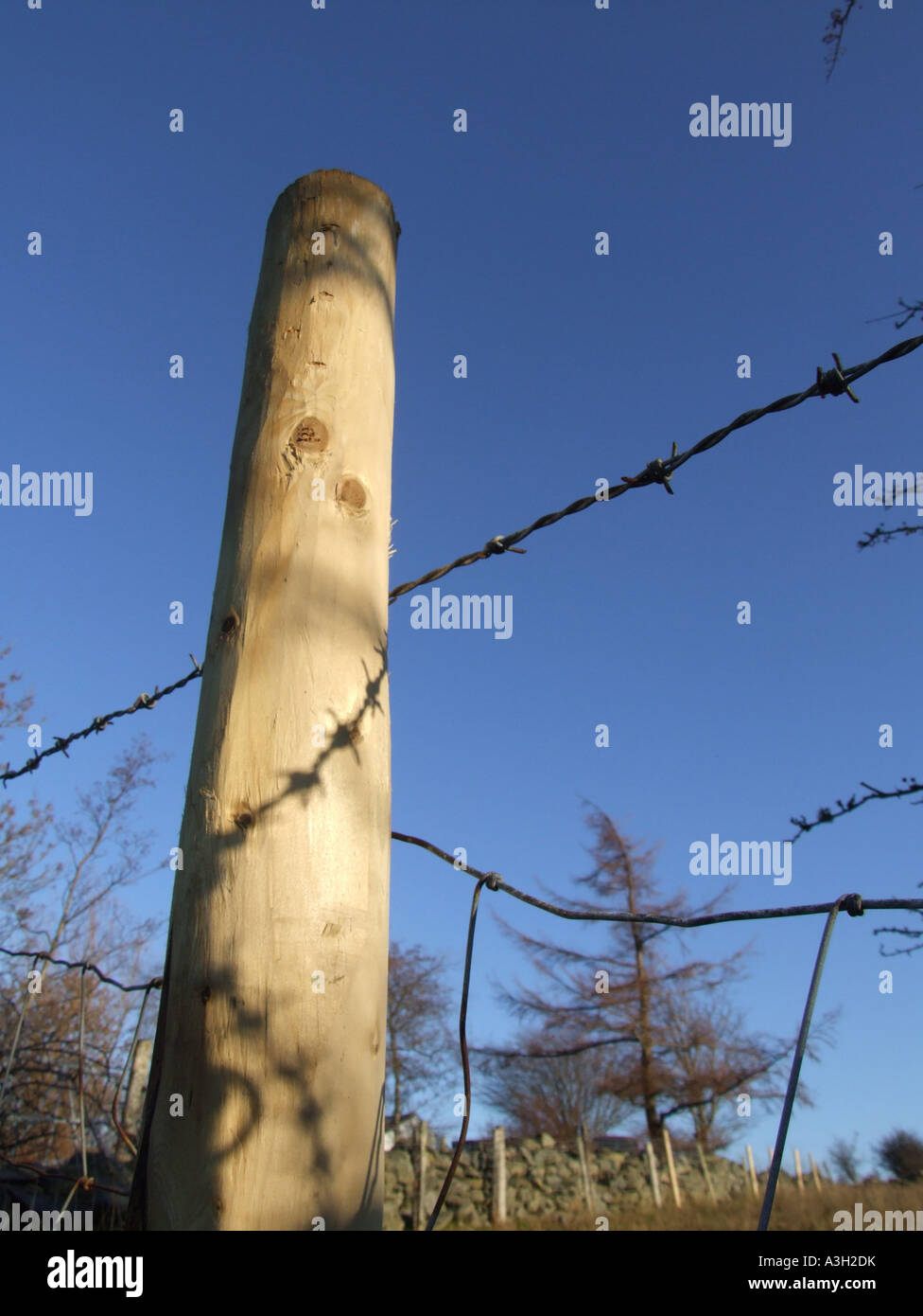 barbed wire fence outdoors Stock Photo - Alamy