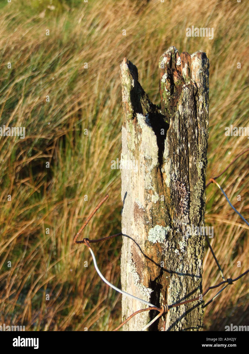 rotten wooden pole on fence outdoors Stock Photo - Alamy