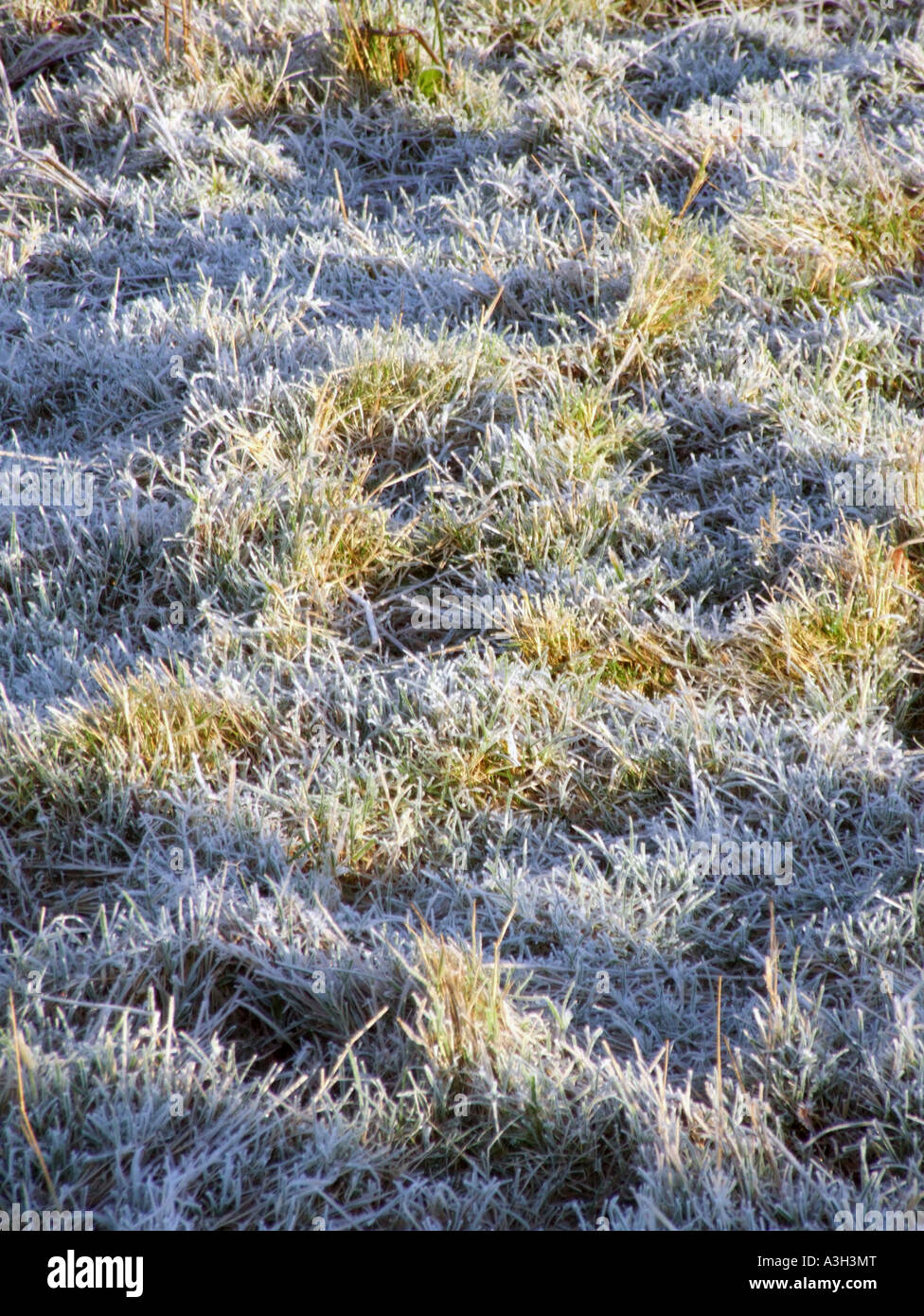 field covered with cold morning frost Stock Photo - Alamy
