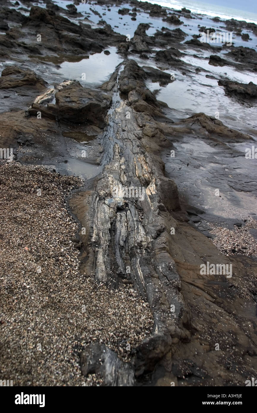 Petrified mud hi-res stock photography and images - Alamy