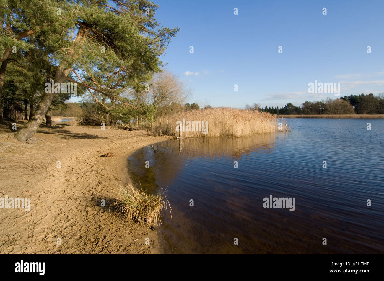 Frensham common beach hi-res stock photography and images - Alamy