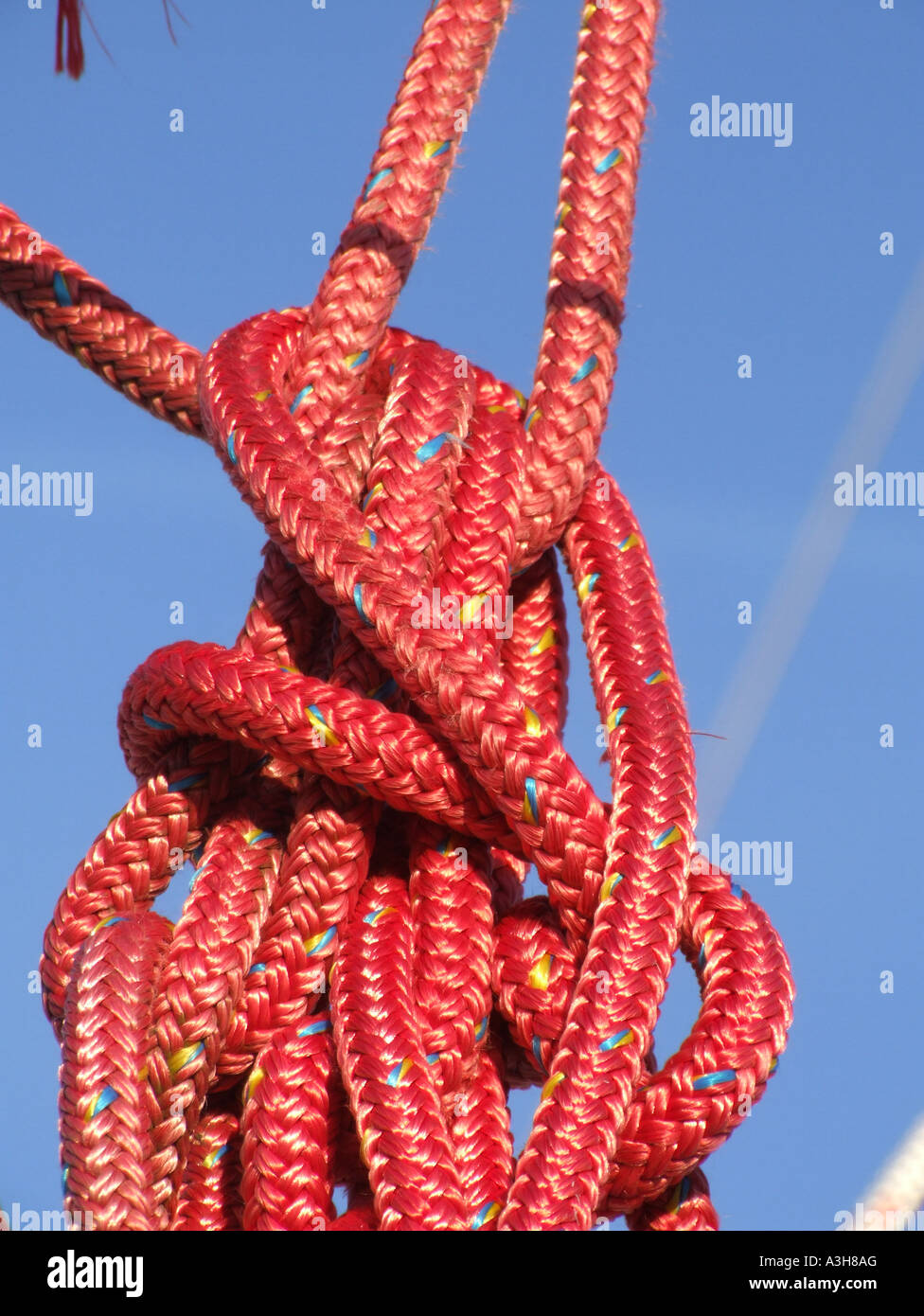 big red knot on boat Stock Photo - Alamy