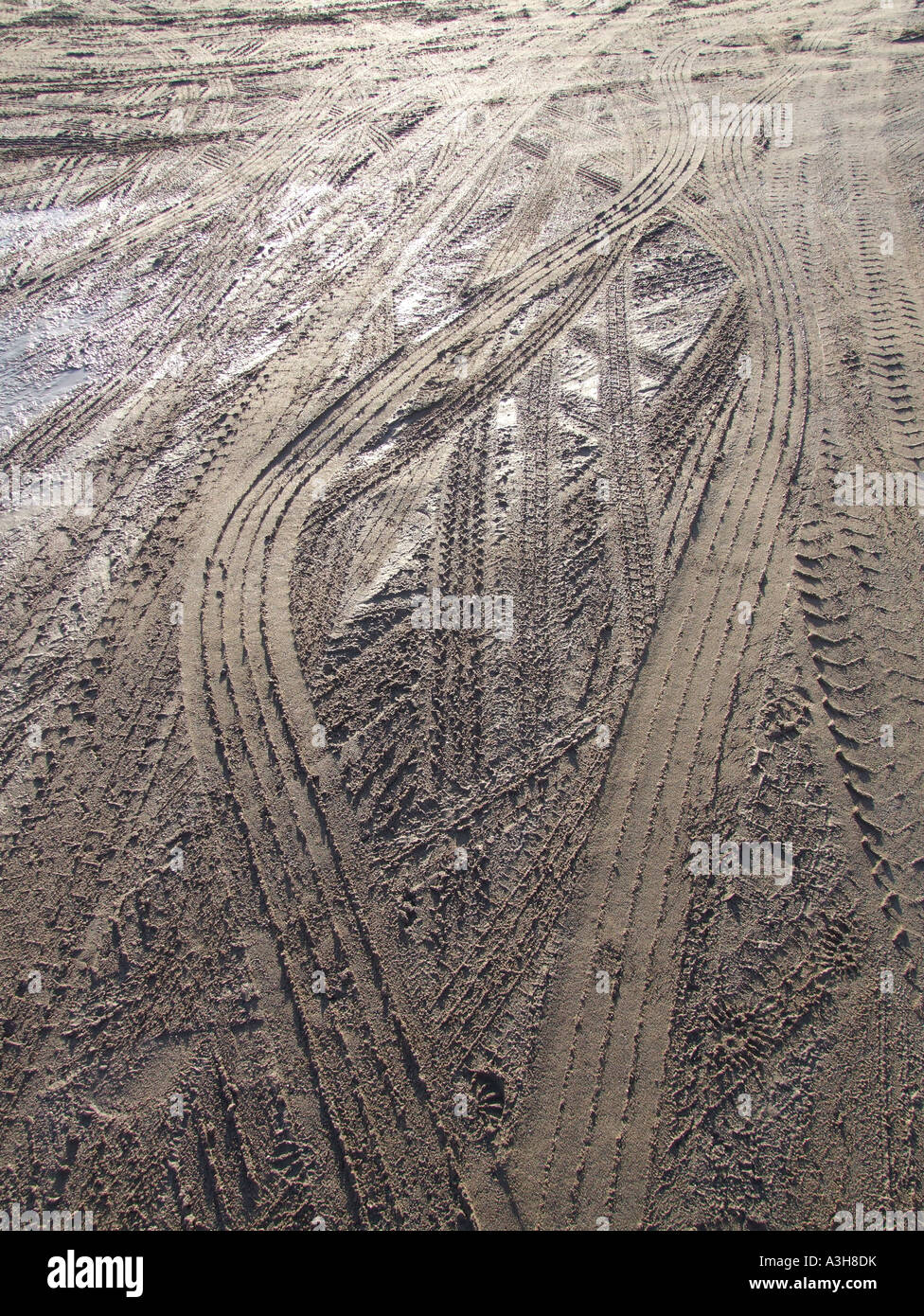 tyre tracks crossing in mud Stock Photo - Alamy