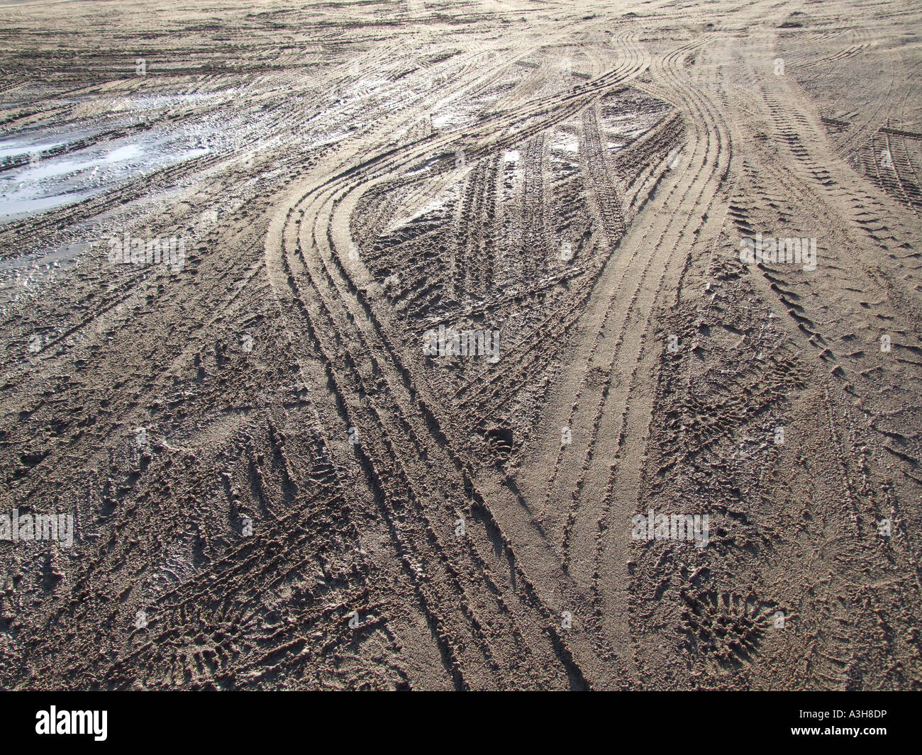 tyre tracks crossing in mud Stock Photo - Alamy