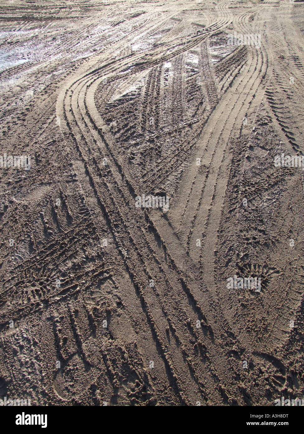 tyre tracks crossing in mud Stock Photo - Alamy