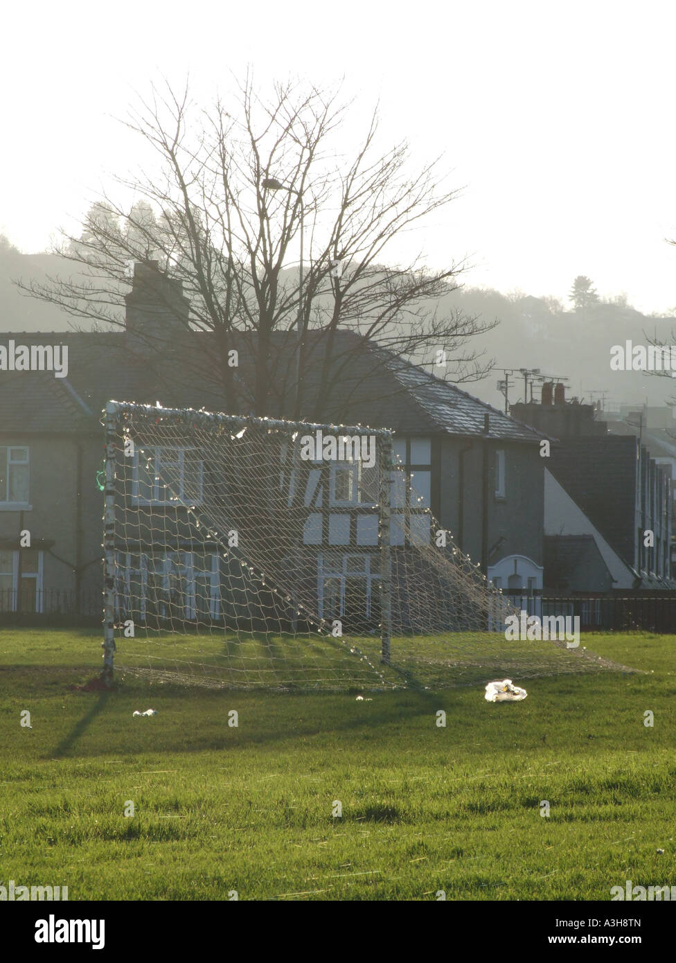 football pitch in morning sun Stock Photo - Alamy