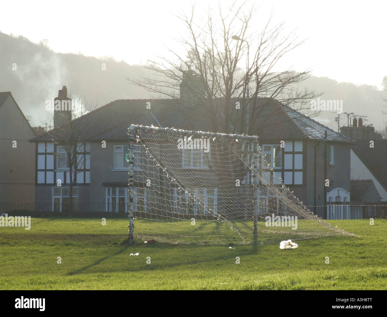 football pitch in morning sun Stock Photo - Alamy