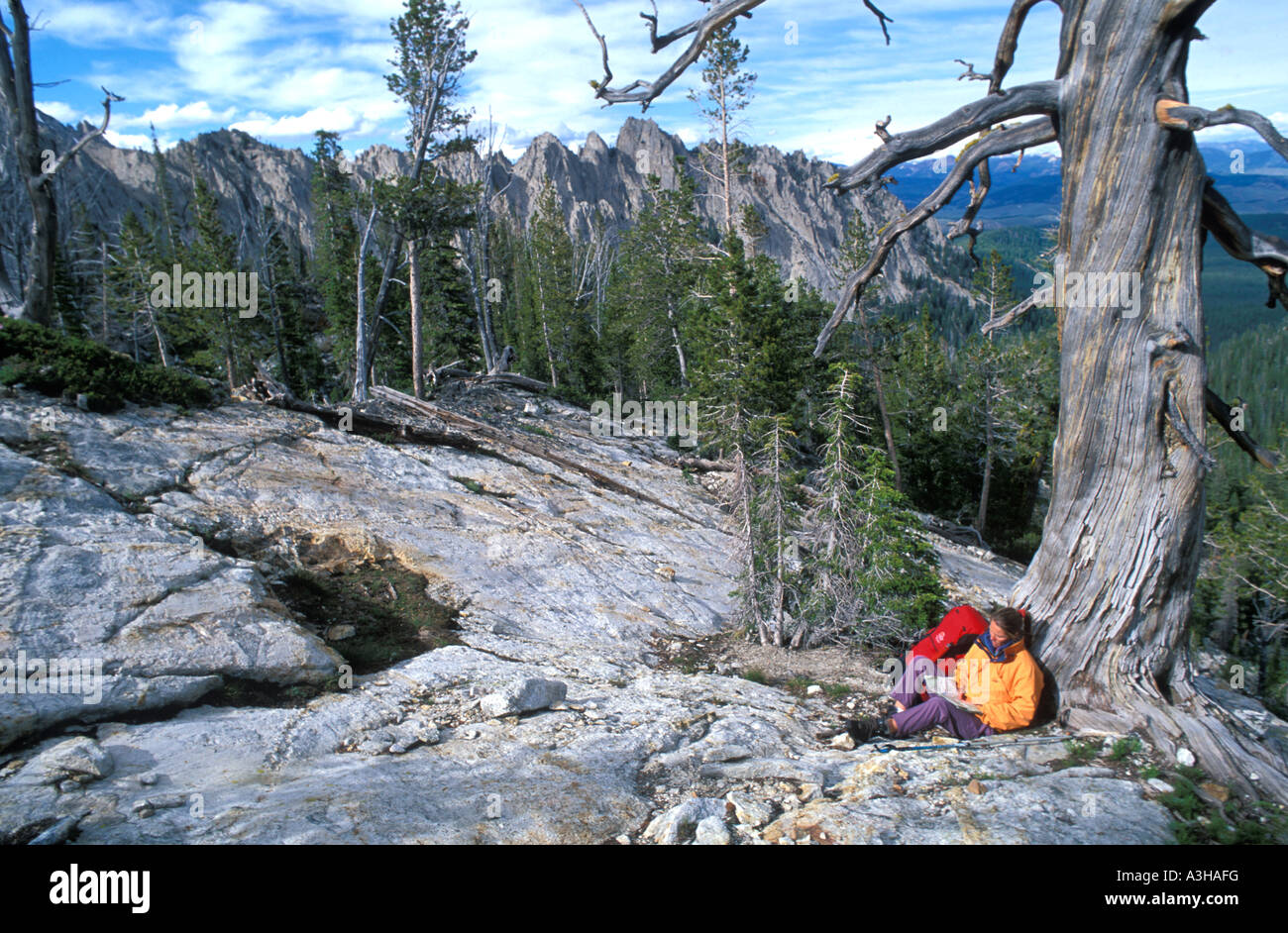 Woman resting under a tree in the Sawtooth wilderness area of Idaho USA ...