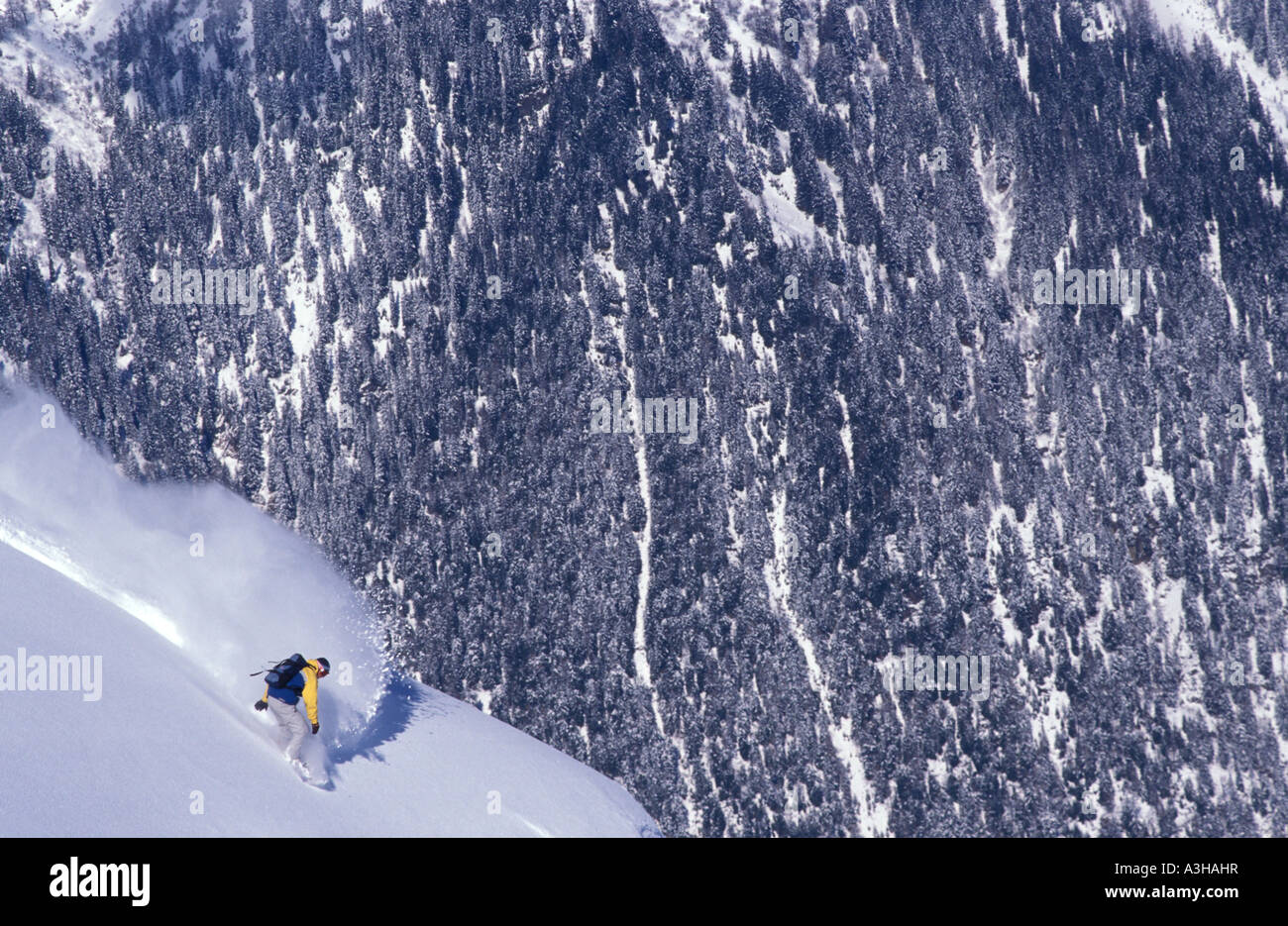 snowboarder on a steep slope with woods in background Stock Photo - Alamy