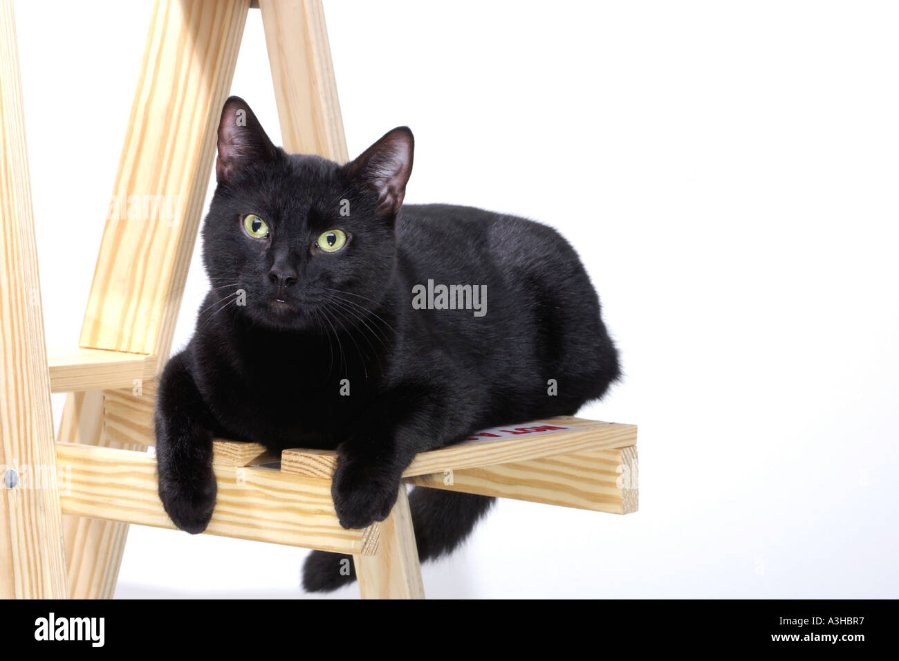 Bad luck and ladder hi-res stock photography and images - Alamy