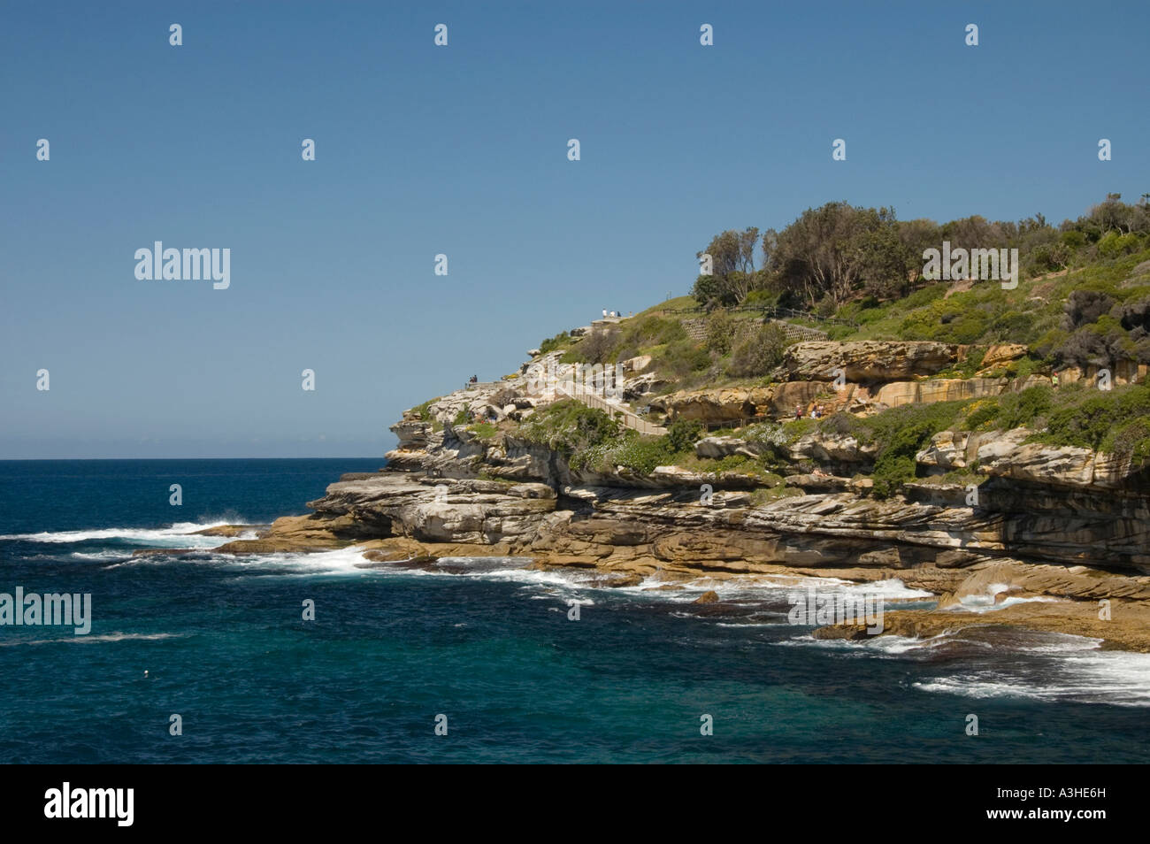 Shark point sydney australia hi-res stock photography and images - Alamy