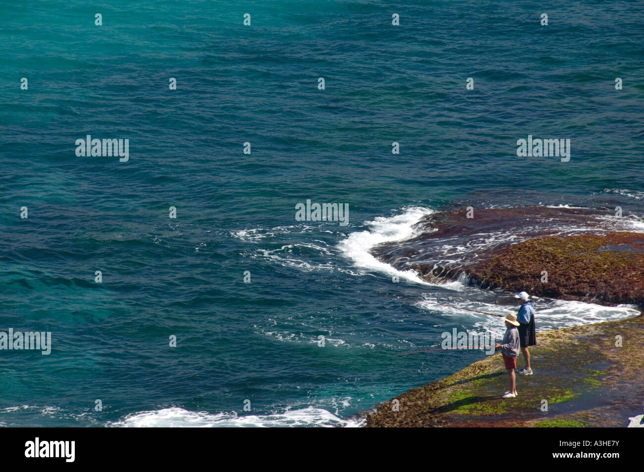 Fisher at Mackenzie Bay Sydney Australia Stock Photo - Alamy