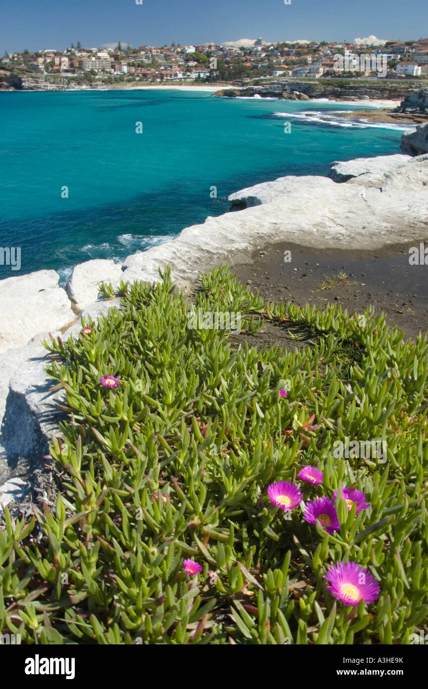 Mackenzie Bay High Resolution Stock Photography and Images - Alamy