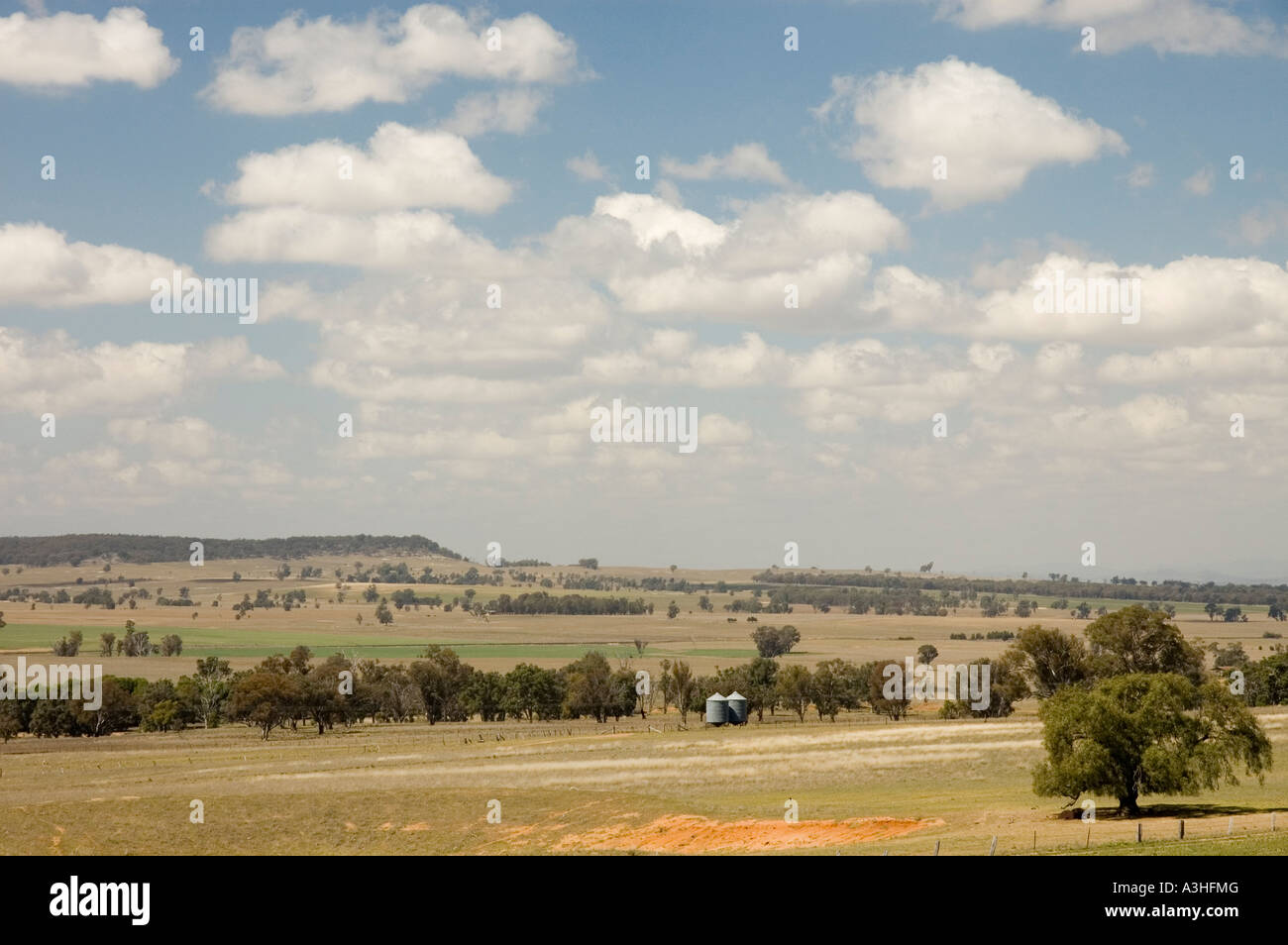 Australian landscape in NSW Australia Stock Photo - Alamy