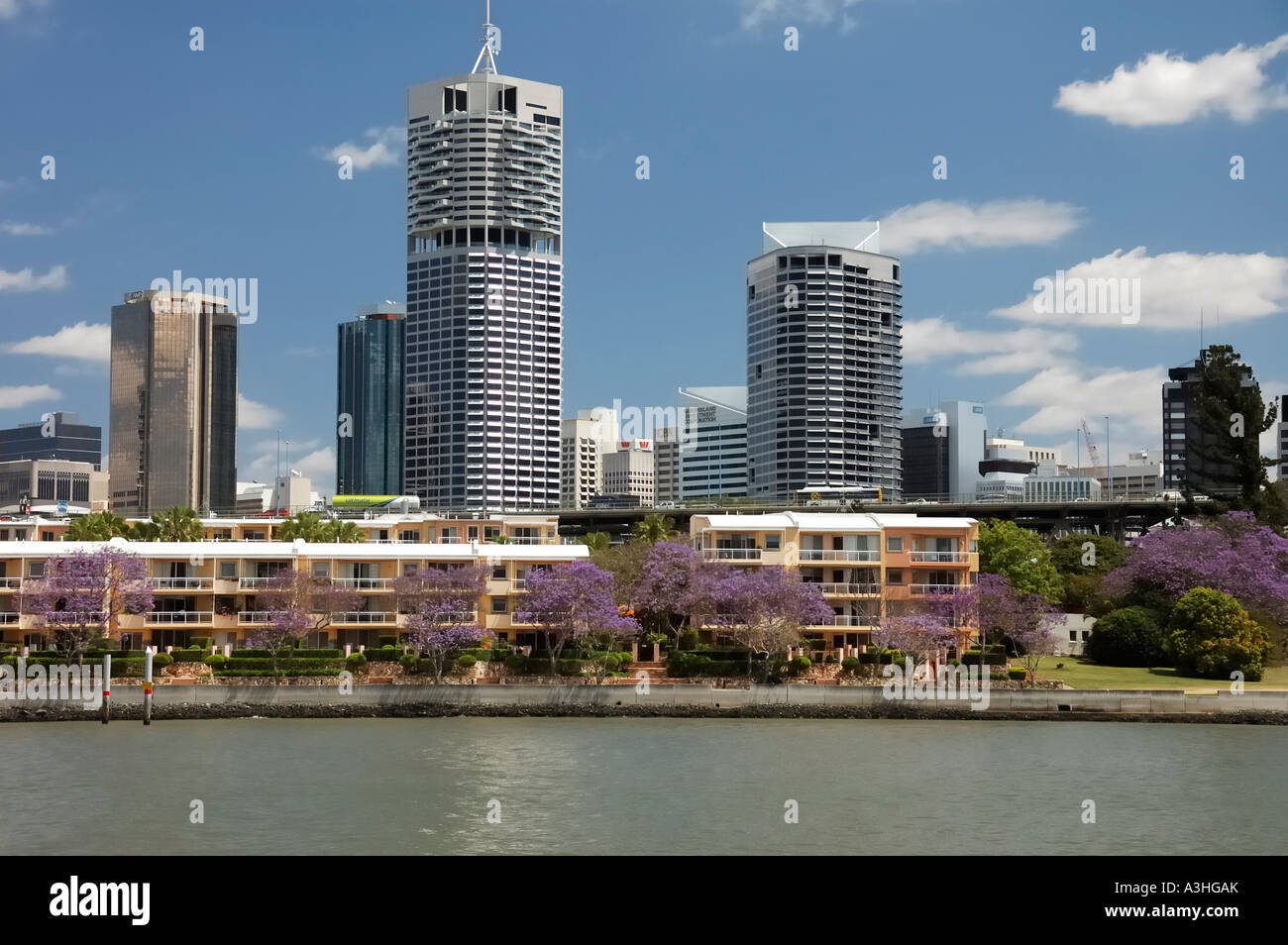 Skyline of Kangaroo Point Brisbane Queenlsand Australia Stock Photo - Alamy