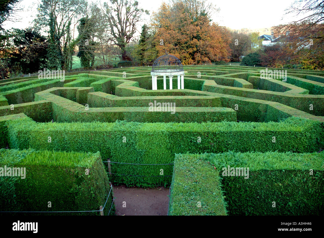 Wye Valley Hedge Maze Puzzle Symonds Yat Herefordshire England Stock ...