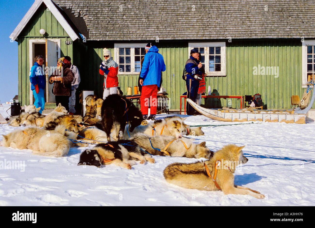 tourists having break at dog sledge trip inuit settlement greenland ...