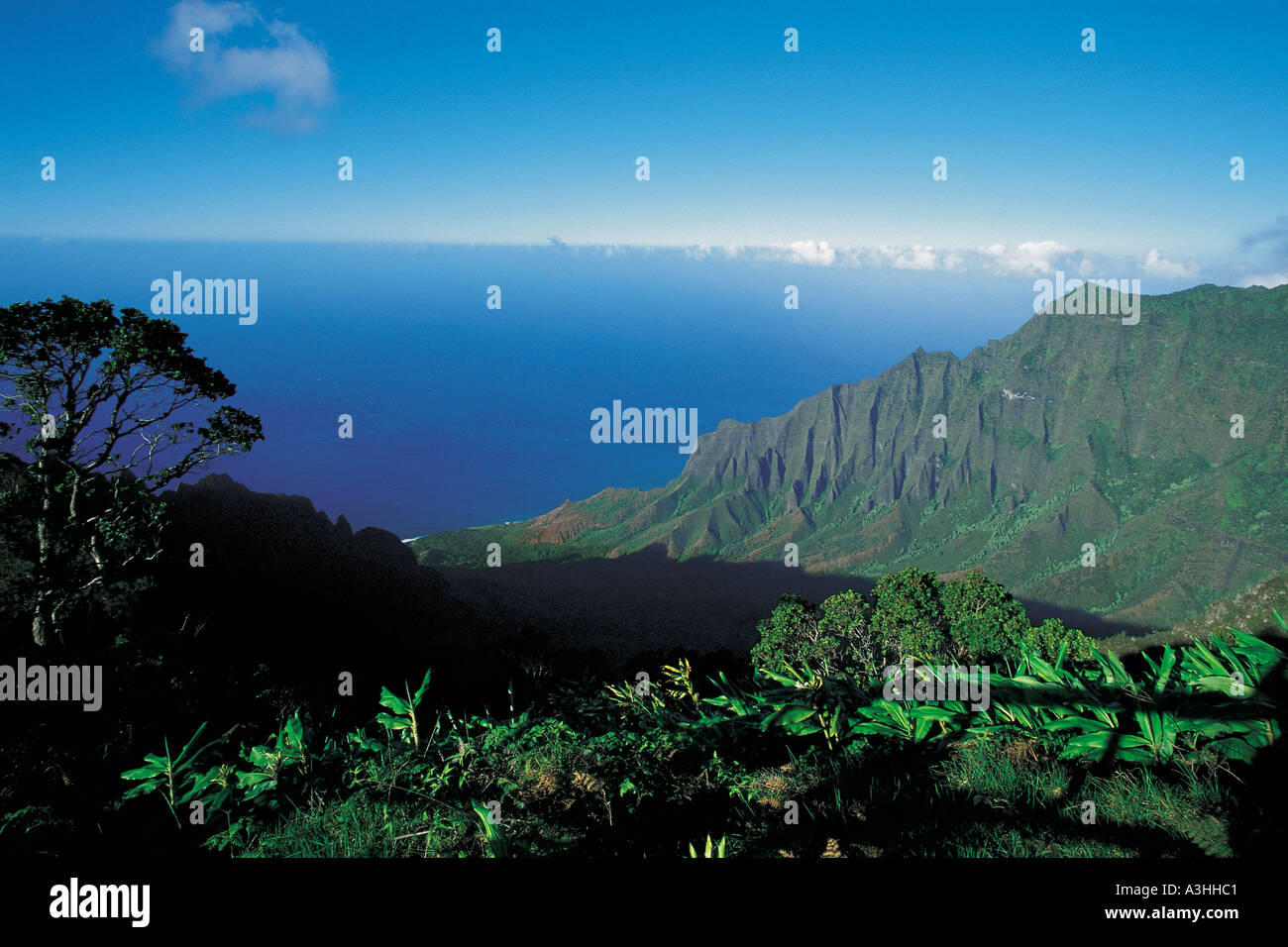 na pali coast kalalau valley waimea canyon island of kauai state of ...