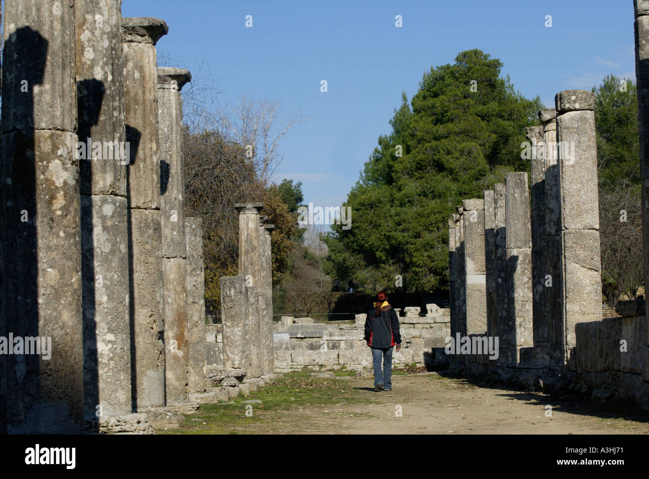 columns in ancient olympia peloponissos greece Stock Photo - Alamy