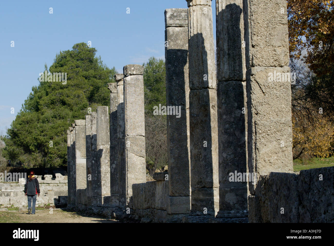 columns in ancient olympia peloponissos greece Stock Photo - Alamy