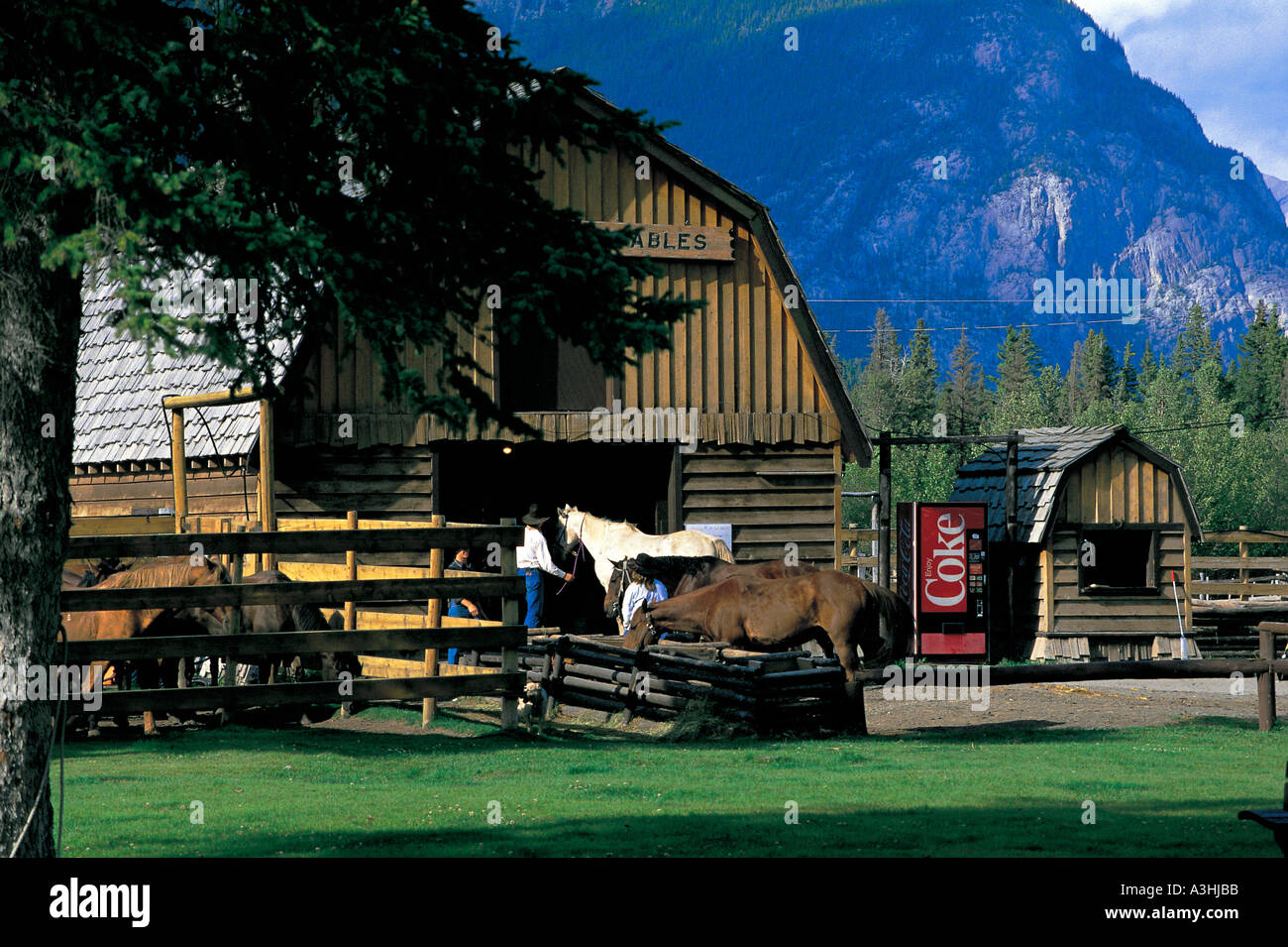barn at rafter six ranch resort province of alberta canada editorial ...