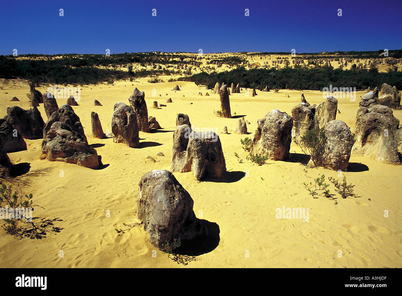 stone columns pinnacle desert state of western australia australia ...