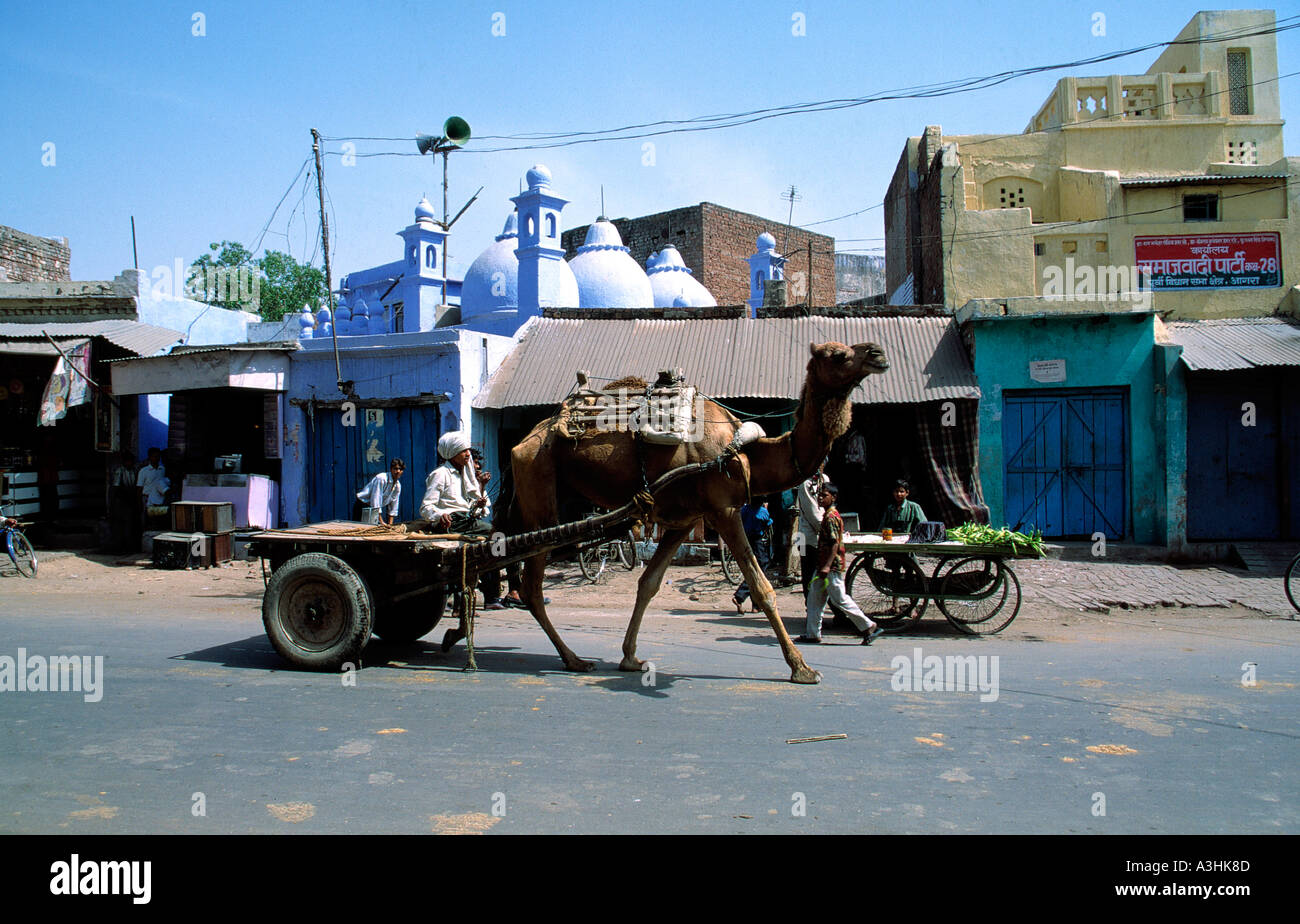 camel vehicle town of agra state of uttar pradesh india Stock Photo - Alamy