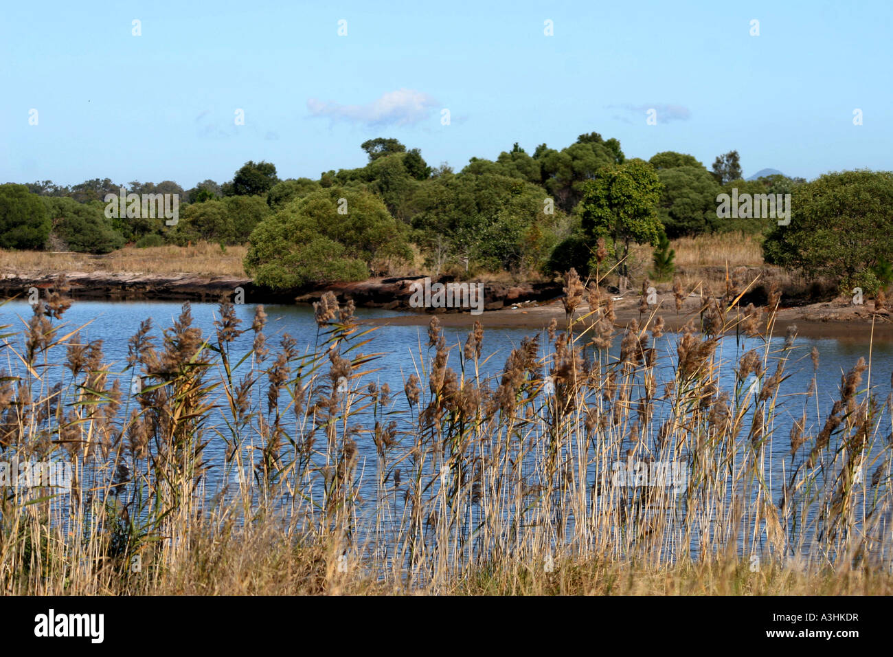 Ade 625 Australia,Queensland,Sunshine Coast,Pelican Waters,suburb of ...