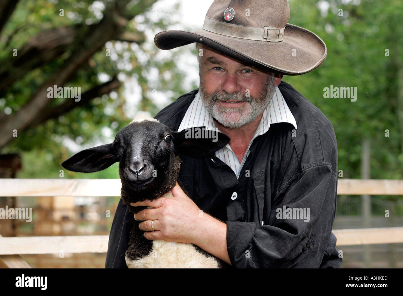 shephard with sheep Stock Photo - Alamy