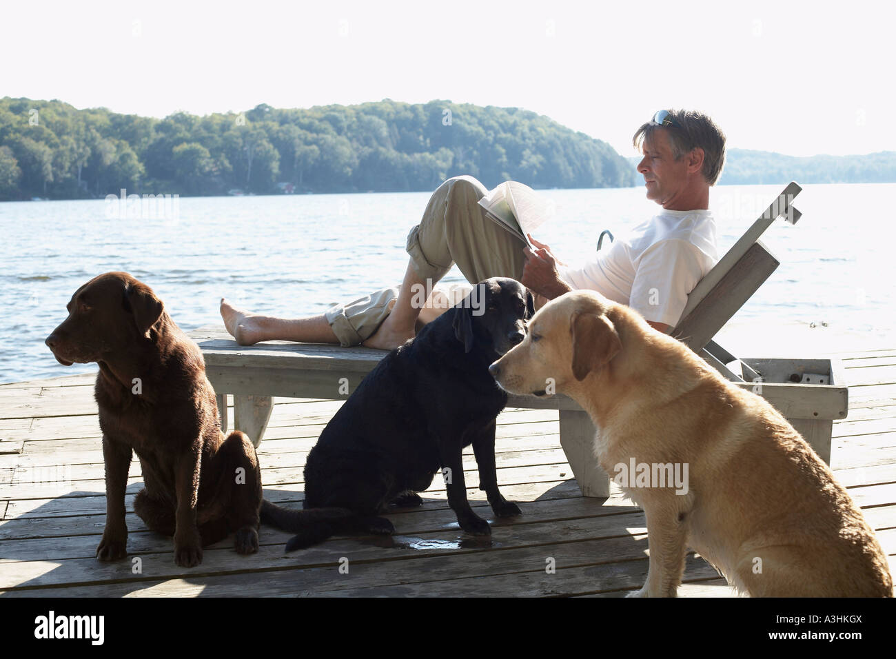 Back View Man His Dog Sitting On High Resolution Stock Photography and ...