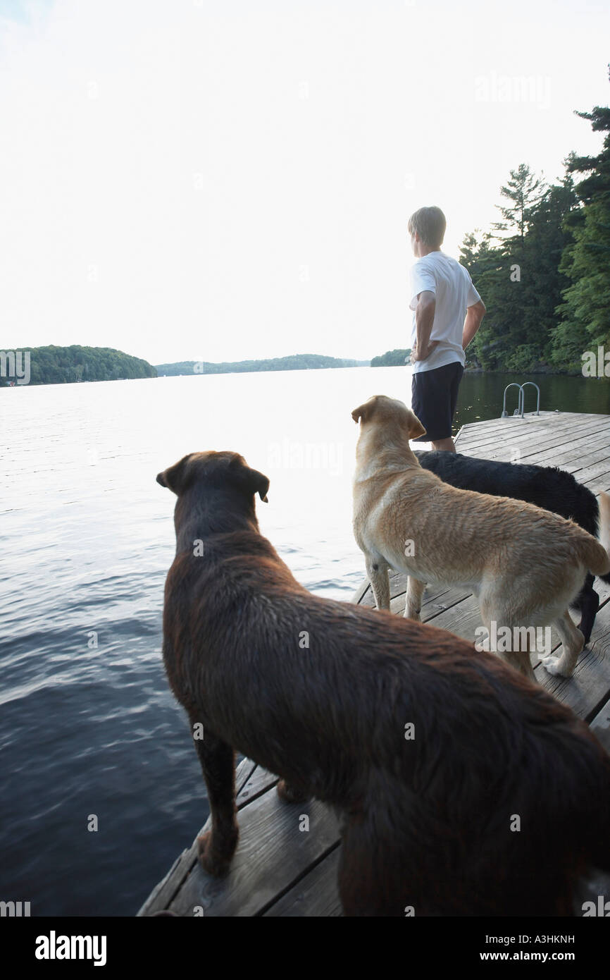 Human dog look direction hi-res stock photography and images - Alamy