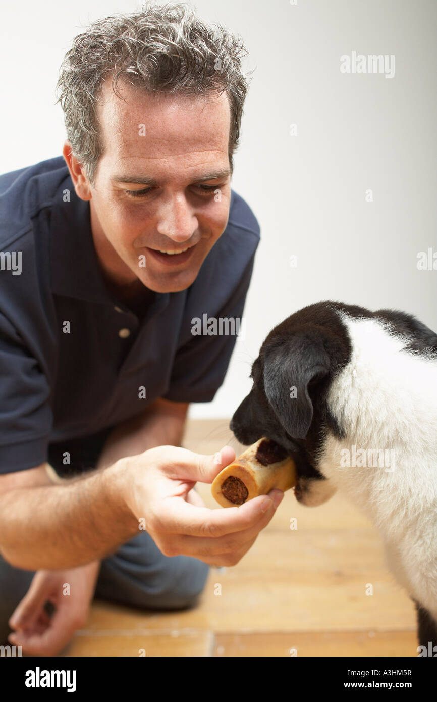 Dog giving person toy hi-res stock photography and images - Alamy