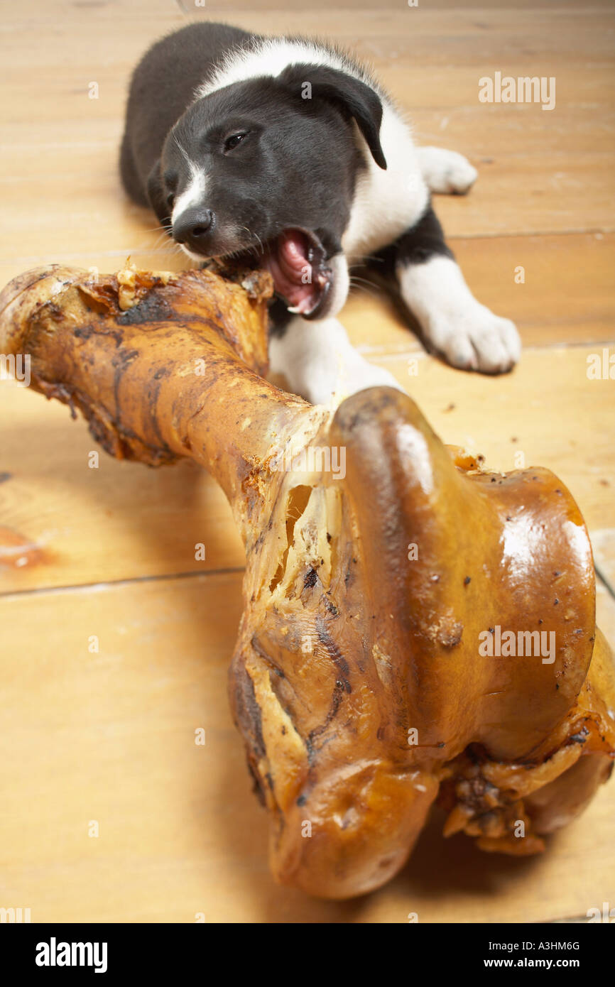 Closeup Of Hardwood Floor High Resolution Stock Photography and Images ...