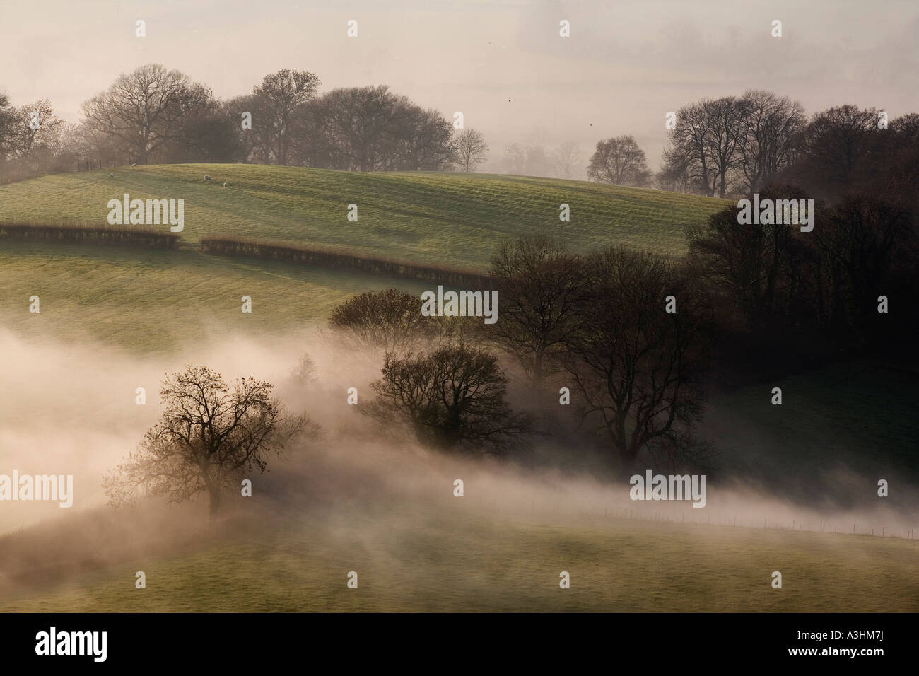 English way hi-res stock photography and images - Alamy