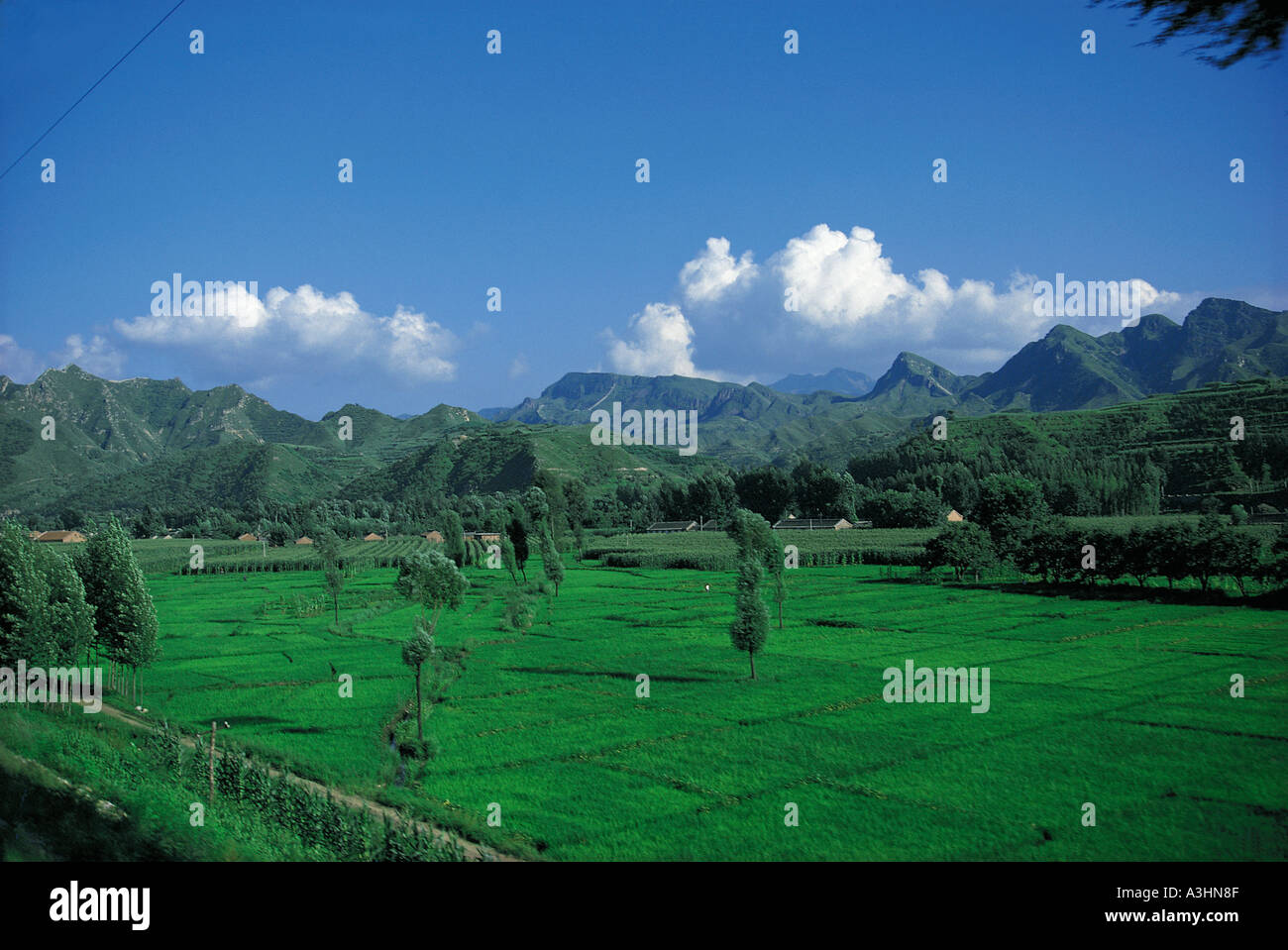 China landwirtschaft hi-res stock photography and images - Alamy