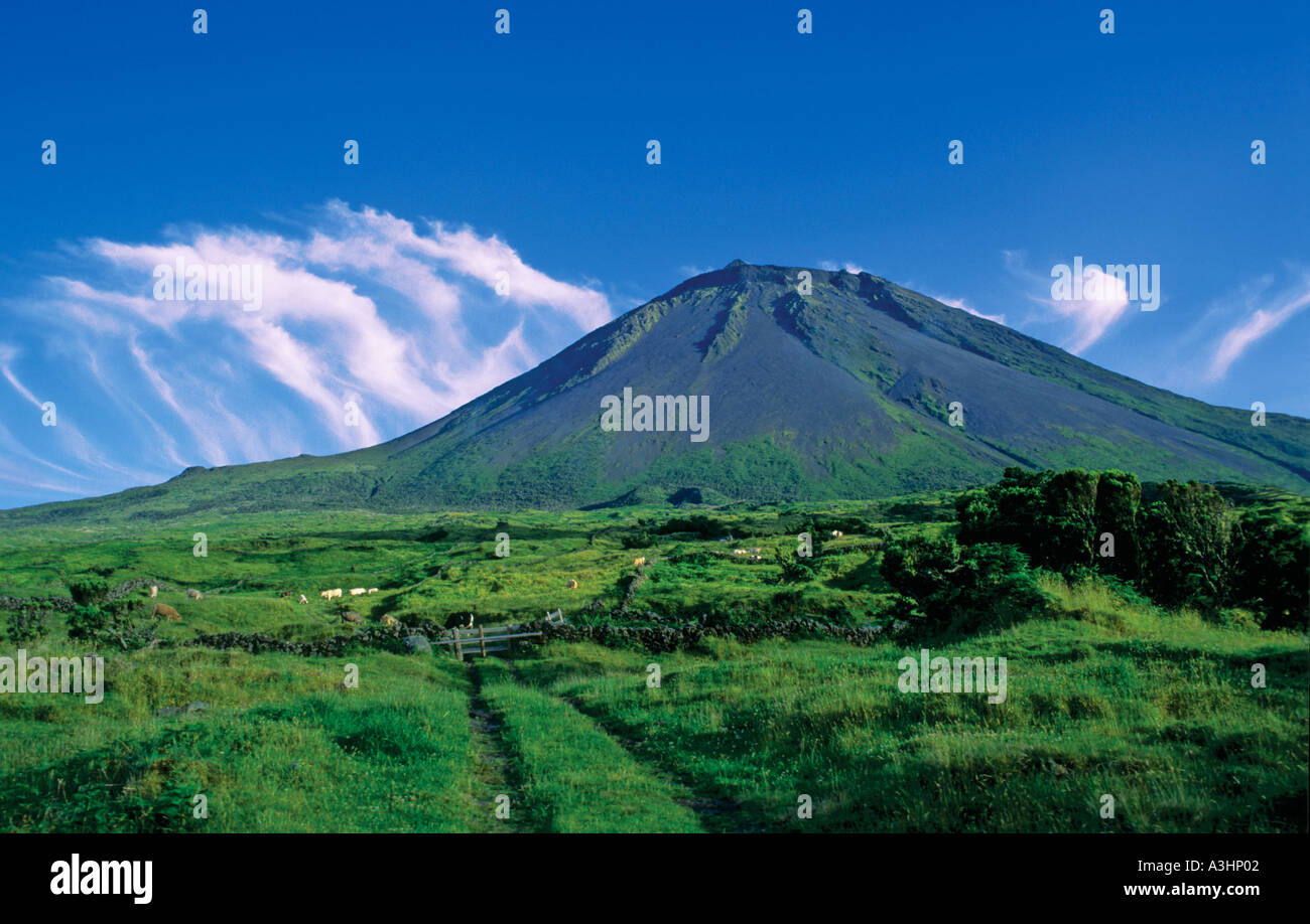 Pico Azores Reserva Natural Da Montanha Do Pico: Die Besten Routen Zum