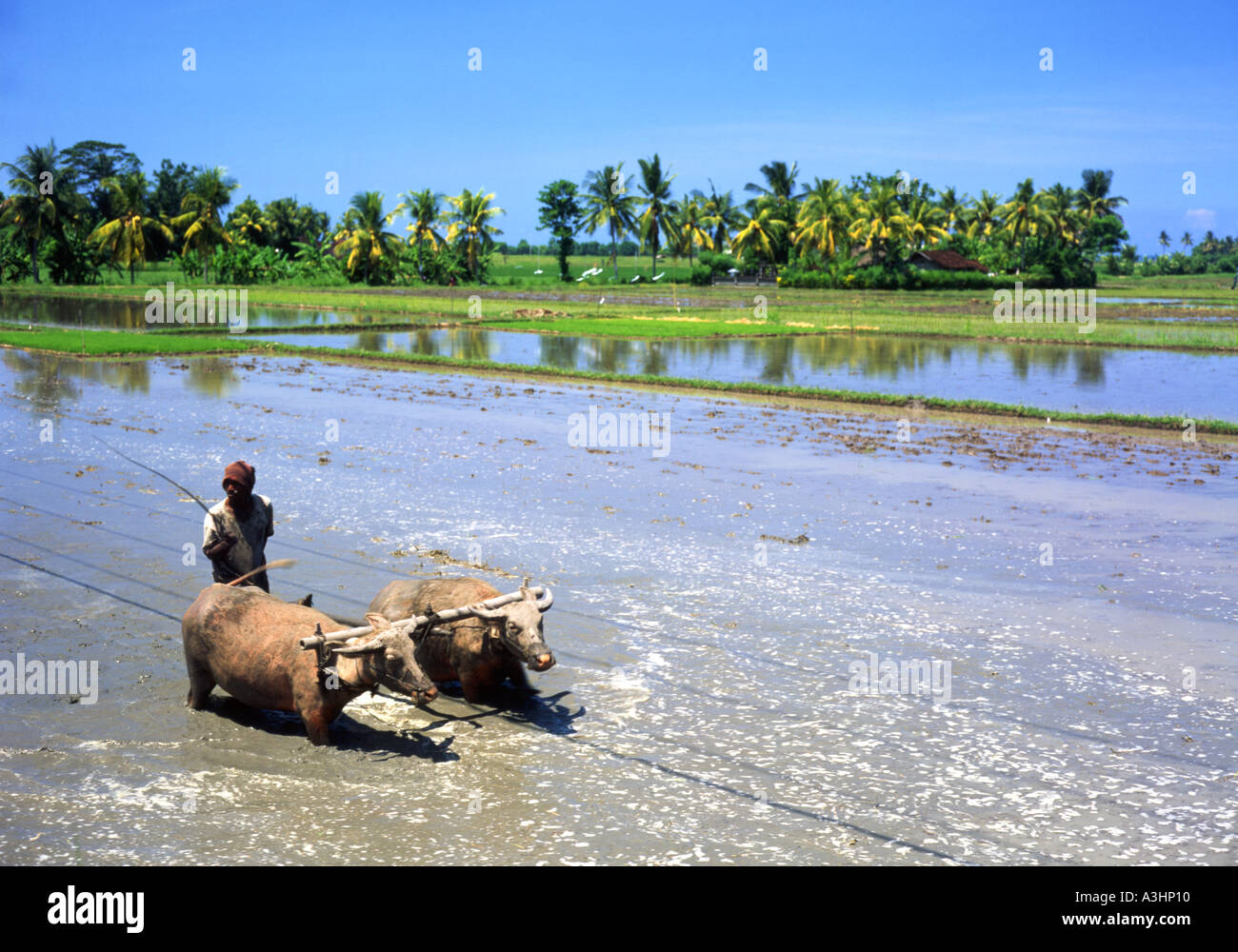 Ploughing through water hi-res stock photography and images - Alamy