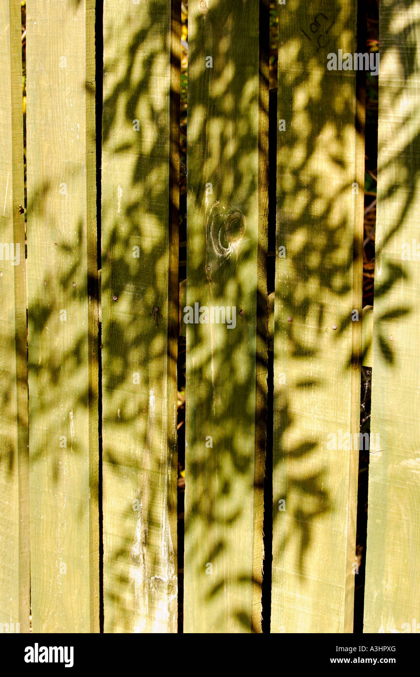 Abstract shadow pattern of leaves on fence panels Stock Photo - Alamy