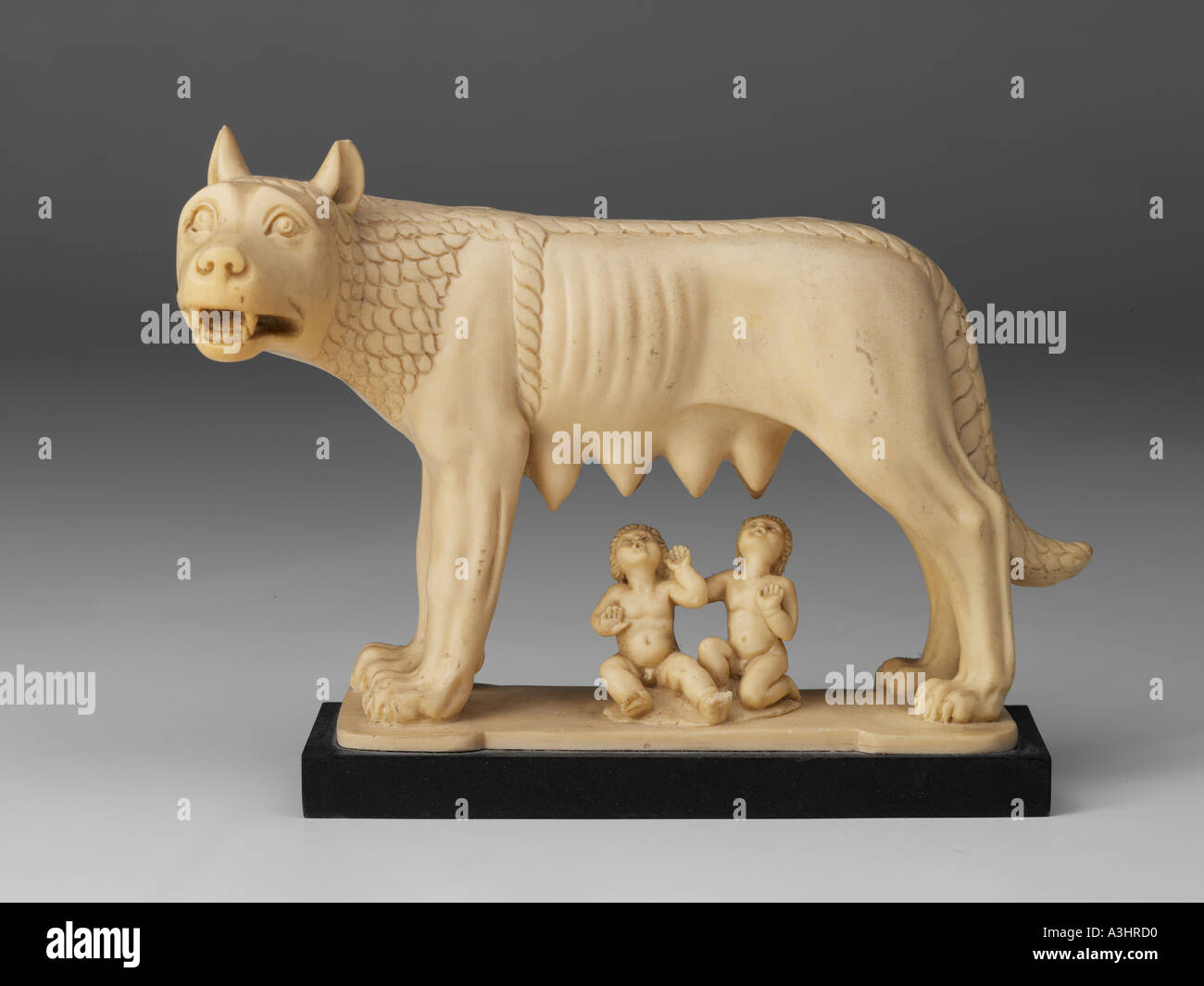 rome wolf Stock Photo - Alamy