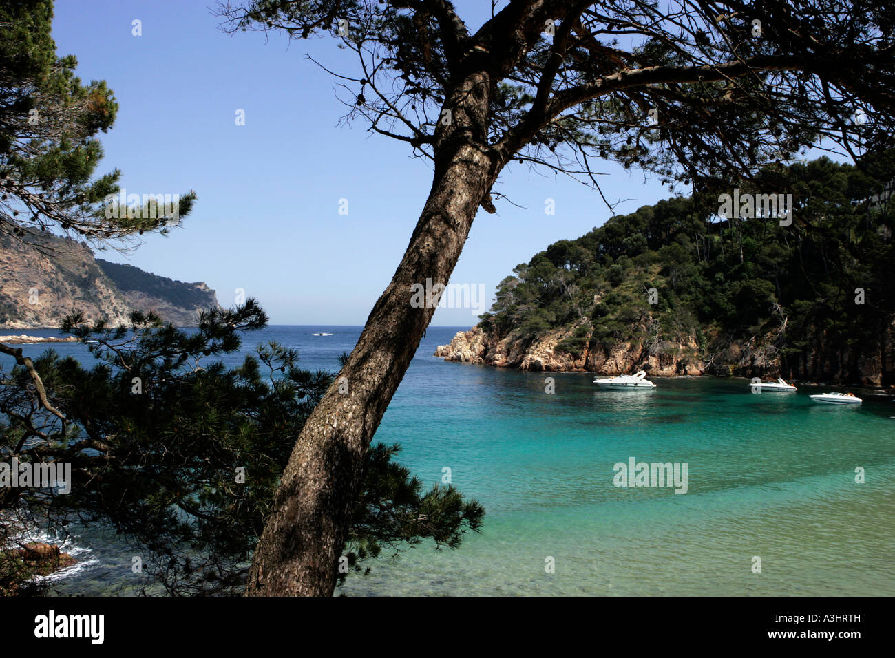 Aigua Blava on the Costa Brava in Spain Stock Photo - Alamy