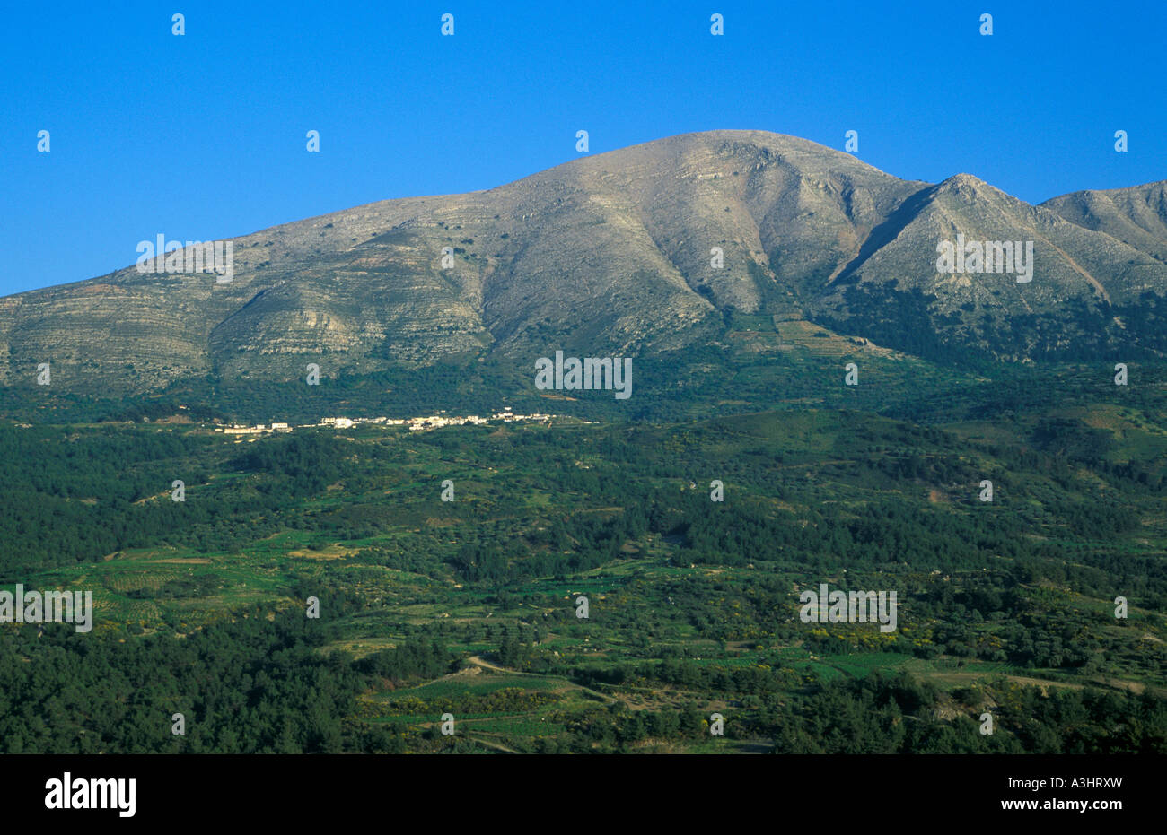 the village Embonas at the foot of Attavyros, the highest mountain on ...